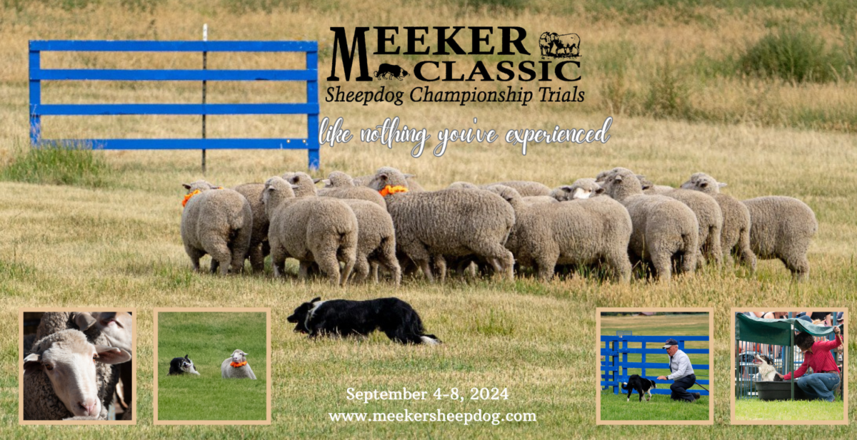 Meeker Classic Sponsors - Meeker Classic Sheepdog Trials | Meeker Colorado